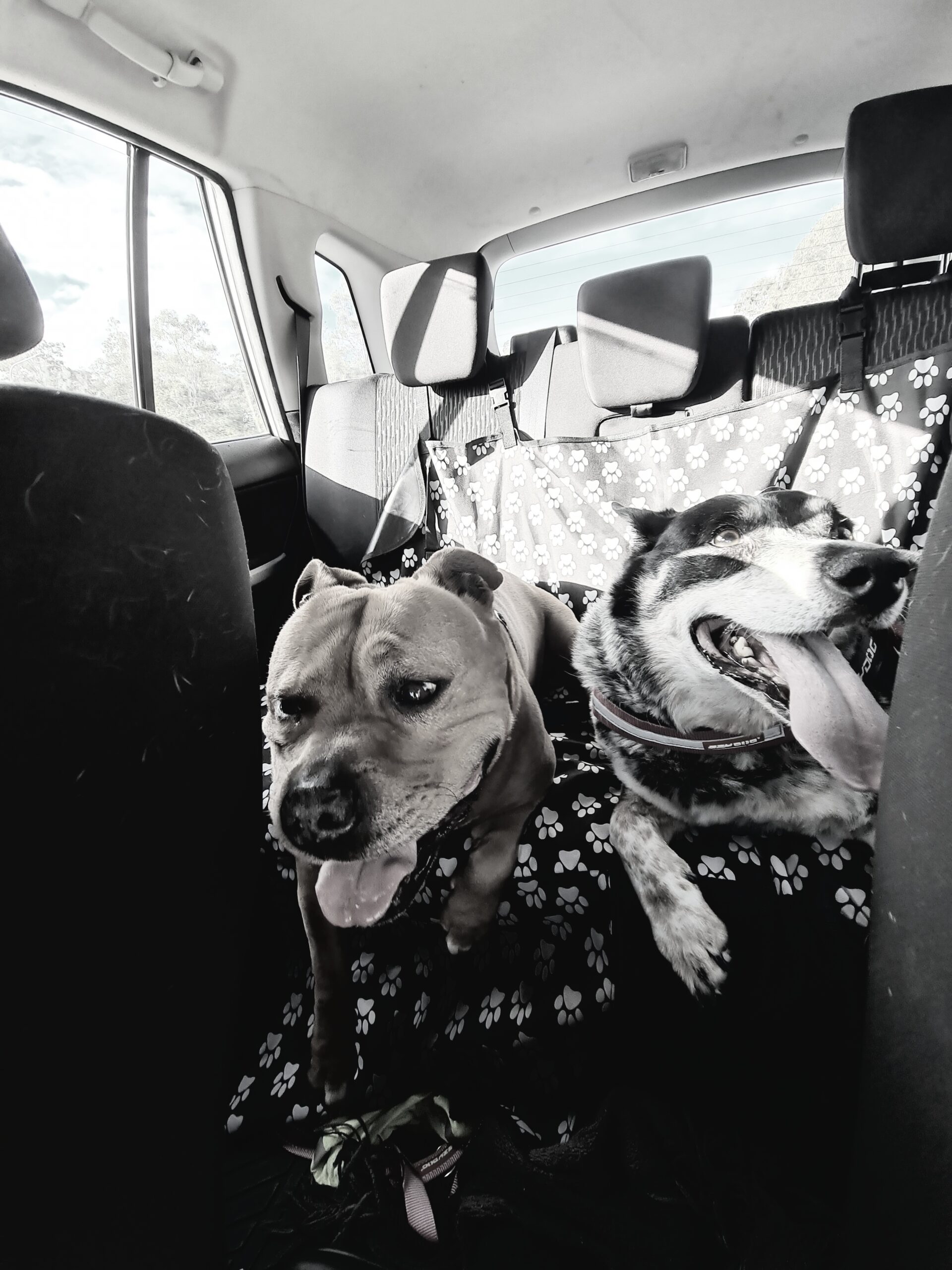 Jessica Eadie - UNIQ You